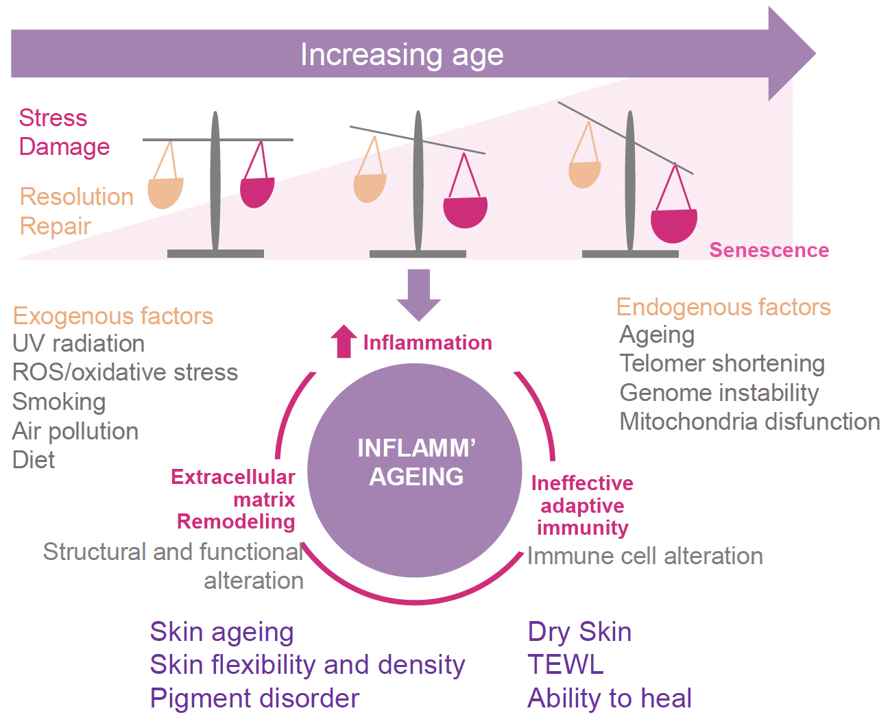 Natura-Tec Riviera News | Nature's Answer to Chronic Inflammation and ...