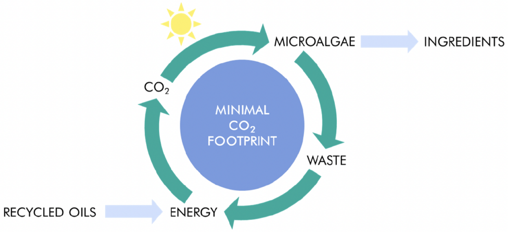 A Look at Microalgae-Based Actives for Modern Cosmetics | Natura-Tec