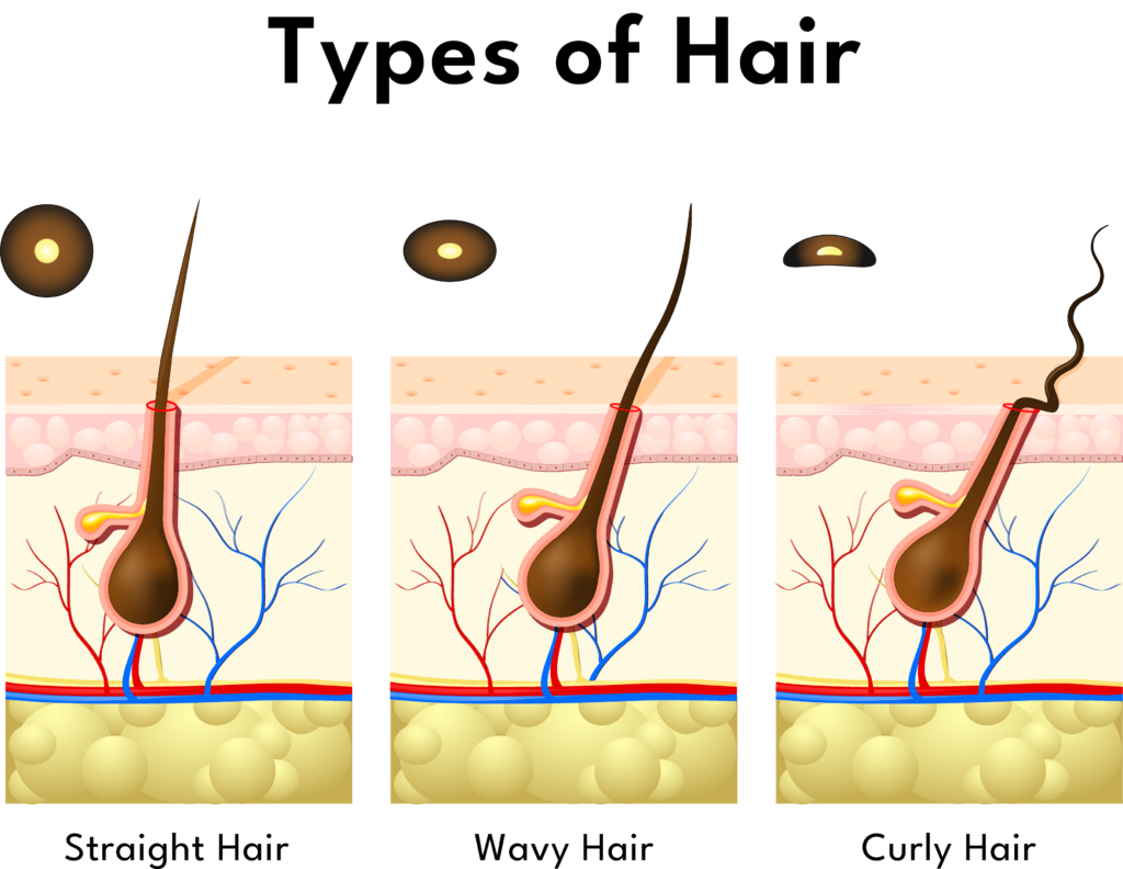 Curly Hair Formulation 101: A Guide to Moisture, Hold, and Curl Definition